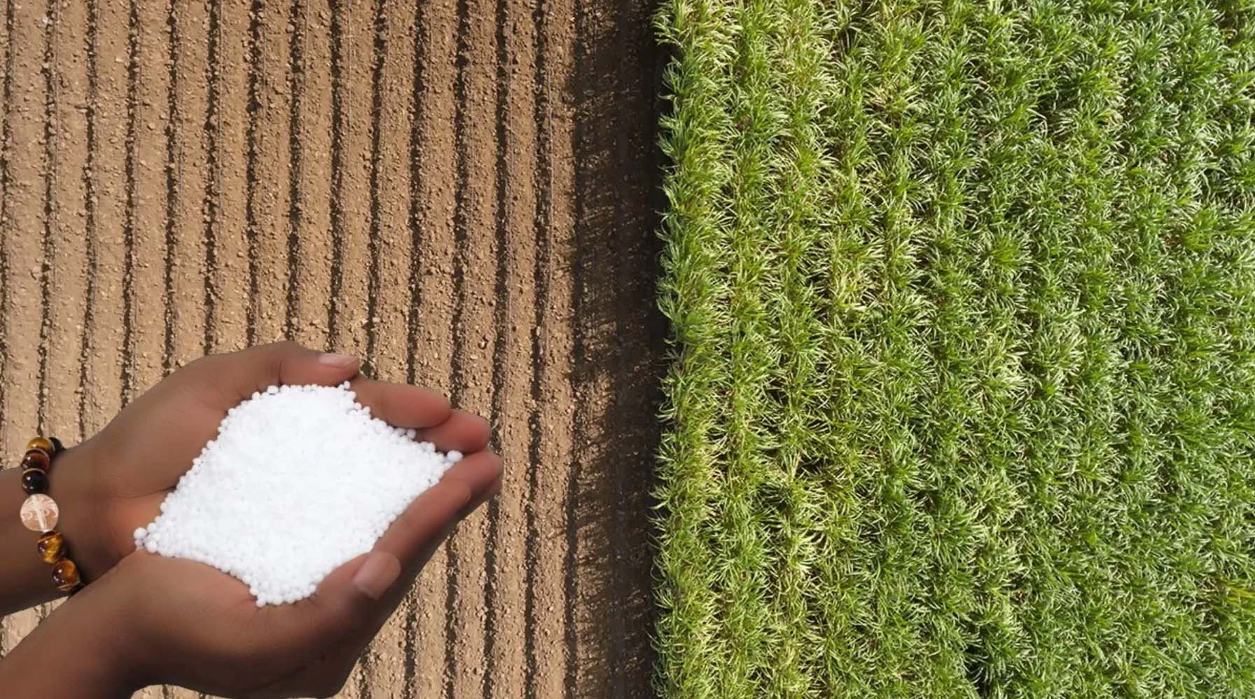 Our Services – Dangote Fertiliser Limited